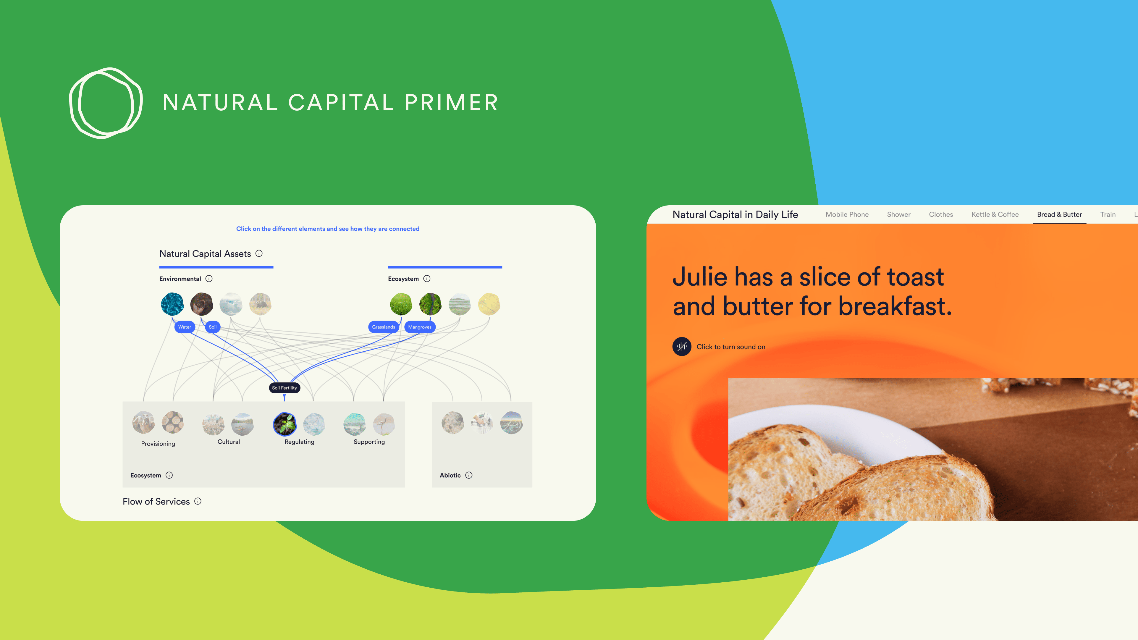 Resources on Natural Capital | Natural Capital Primer